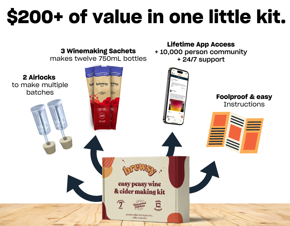 Brewsy Starter Kit - Make All-Natural Wine In 5 Days | W/ Any Juice