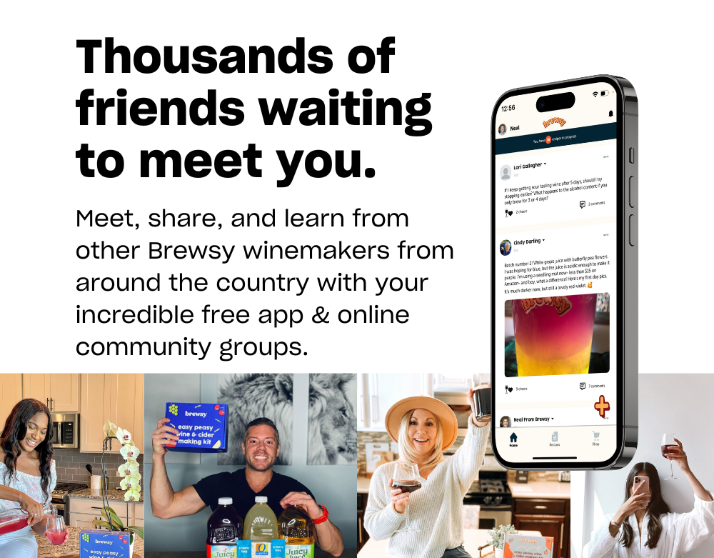 Brewsy Starter Kit - Make All-Natural Wine In 5 Days | W/ Any Juice