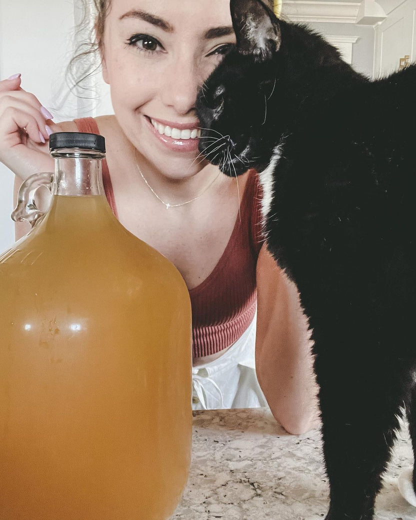 Brewsy - Make Wine, Cider or Mead out of any Juice!